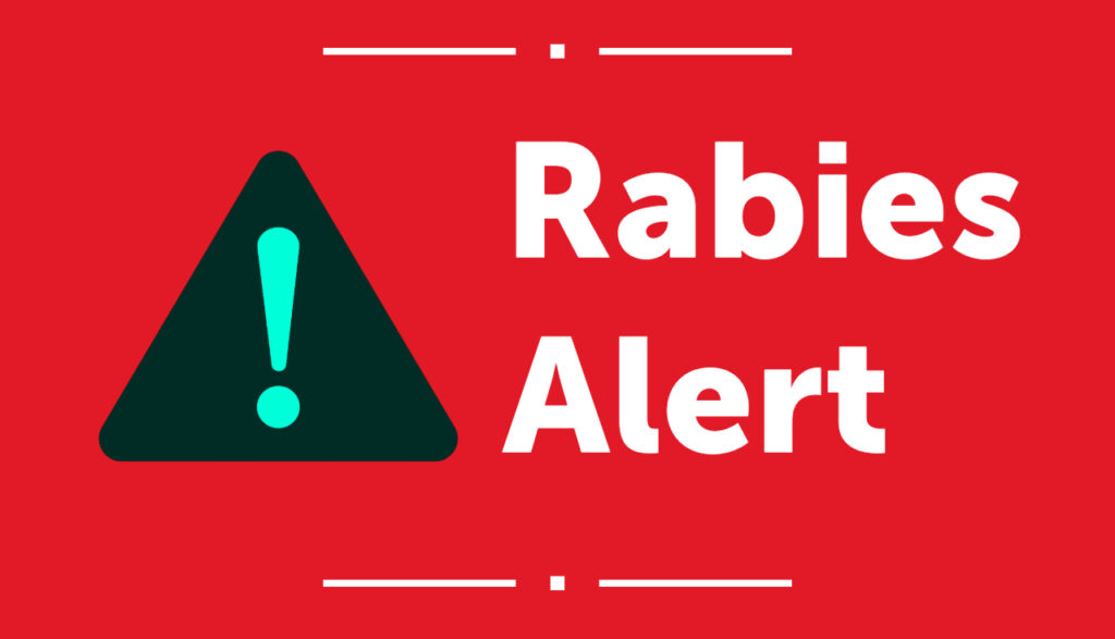 Positive Rabies Incident- Jackson County - Northeast Health District